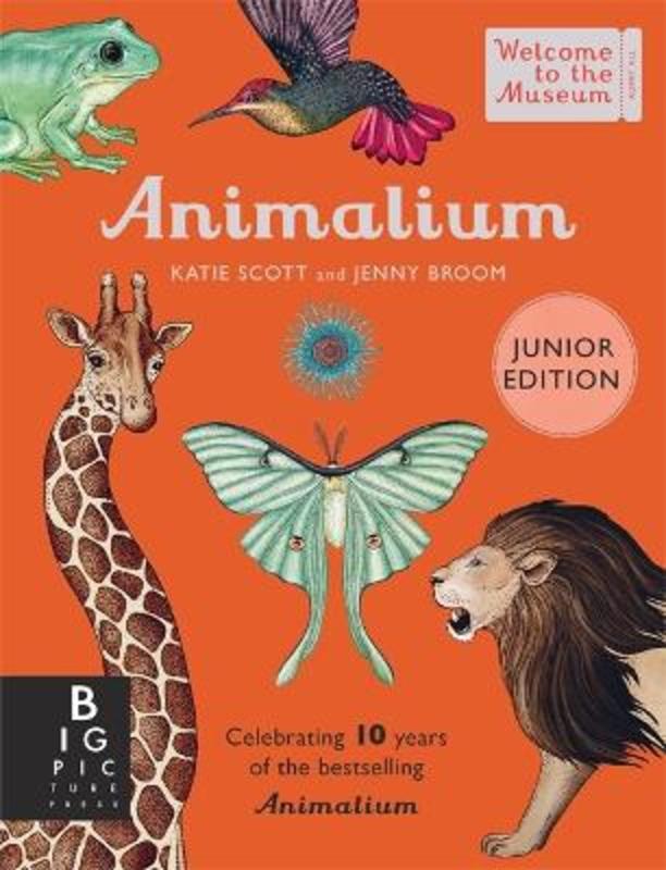 Animalium (Junior Edition) from Katie Scott Limited | Harry Hartog – Harry Hartog Bookseller