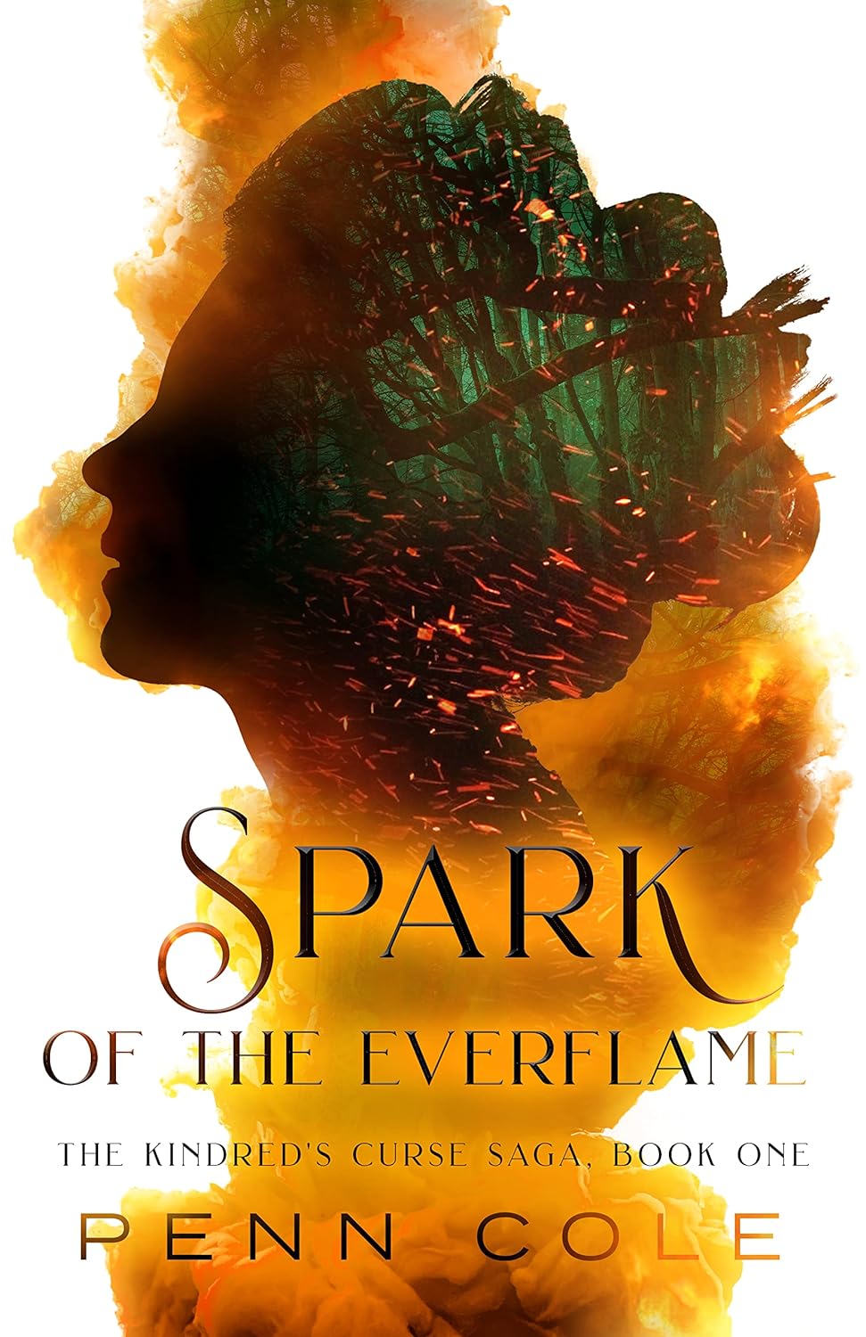 Spark of the Everflame by Penn Cole | 9798988161707 | Harry Hartog ...