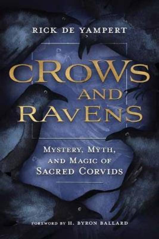 Crows and Ravens by Rick de Yampert | Harry Hartog – Harry Hartog ...