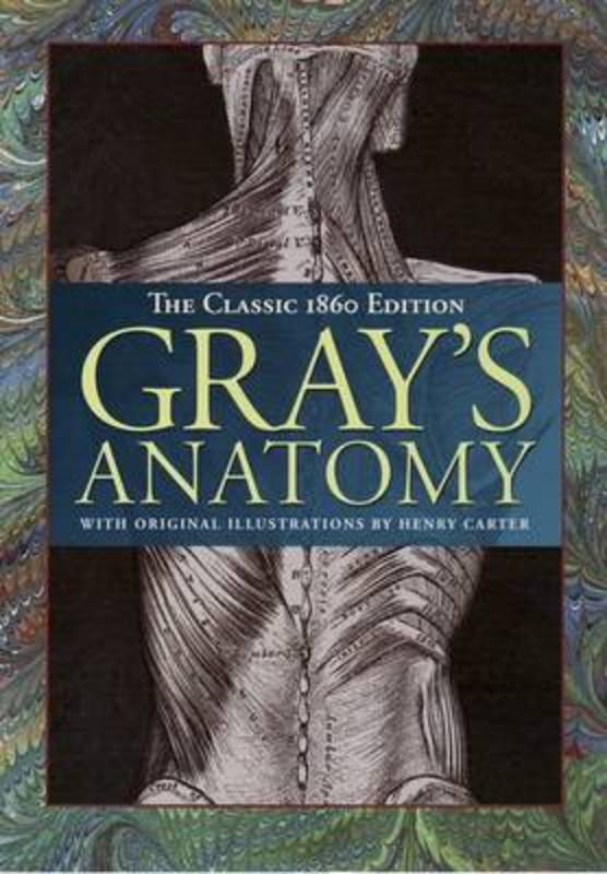 Gray's Anatomy by Henry CARTER | Harry Hartog – Harry Hartog Bookseller