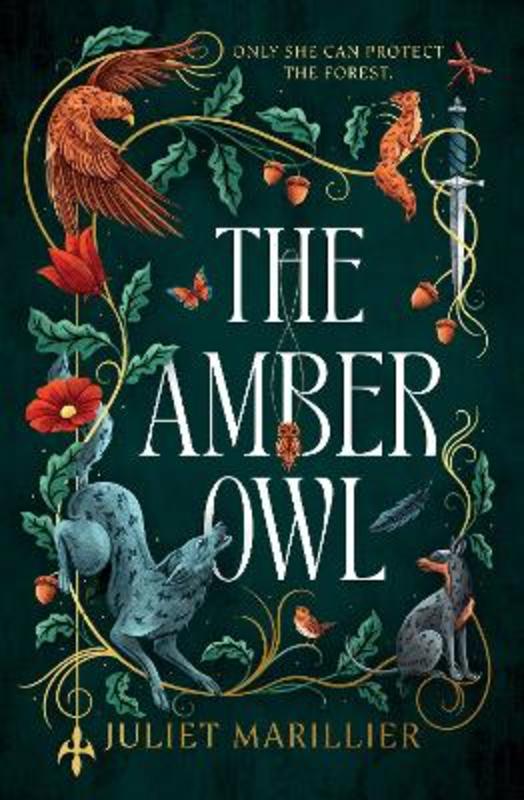 Amber Owl by Juliet Marillier | Harry Hartog – Harry Hartog Bookseller