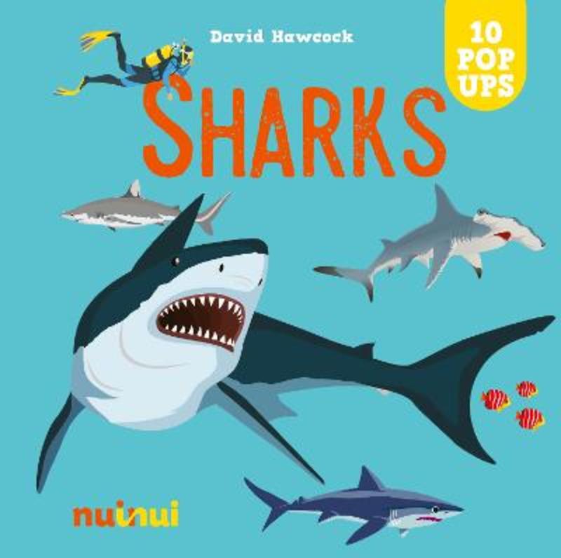Sharks by David Hawcock | Harry Hartog – Harry Hartog Bookseller