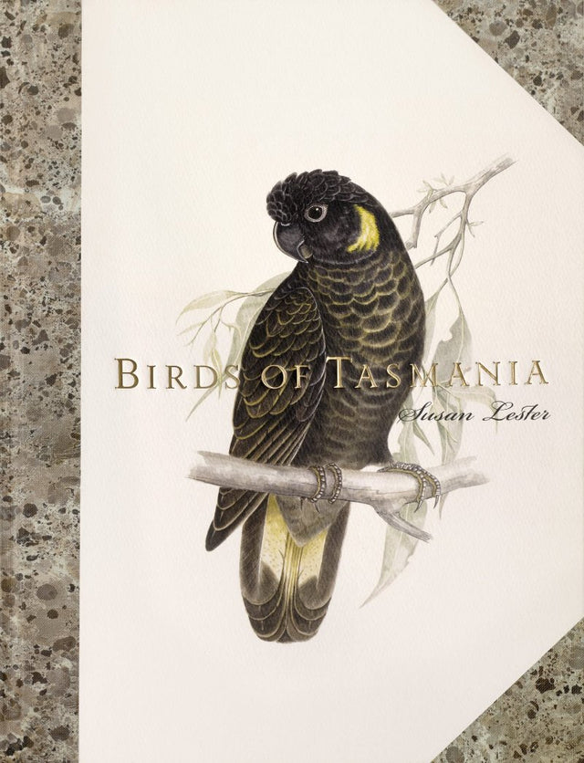 Birds of Tasmania by Susan Lester | Harry Hartog – Harry Hartog Bookseller
