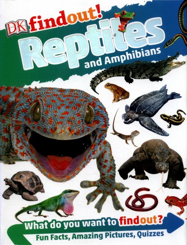 DKfindout! Reptiles and Amphibians by DK | 9780241285015 | Harry Hartog