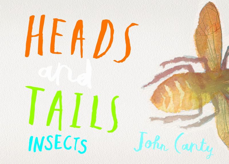 Heads and Tails: Insects by John Canty | 9780994384164 | Harry Hartog