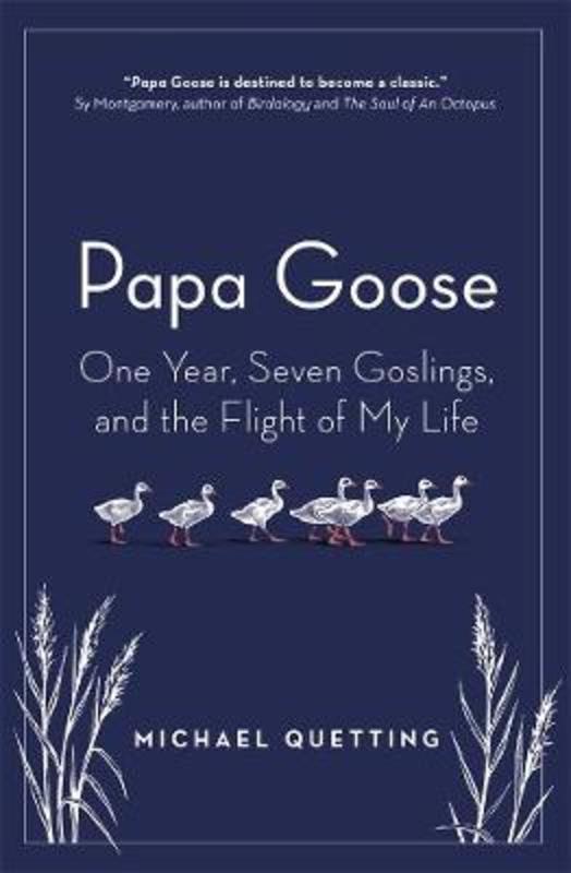 Papa Goose by Michael Quetting | 9781760640750 | Harry Hartog