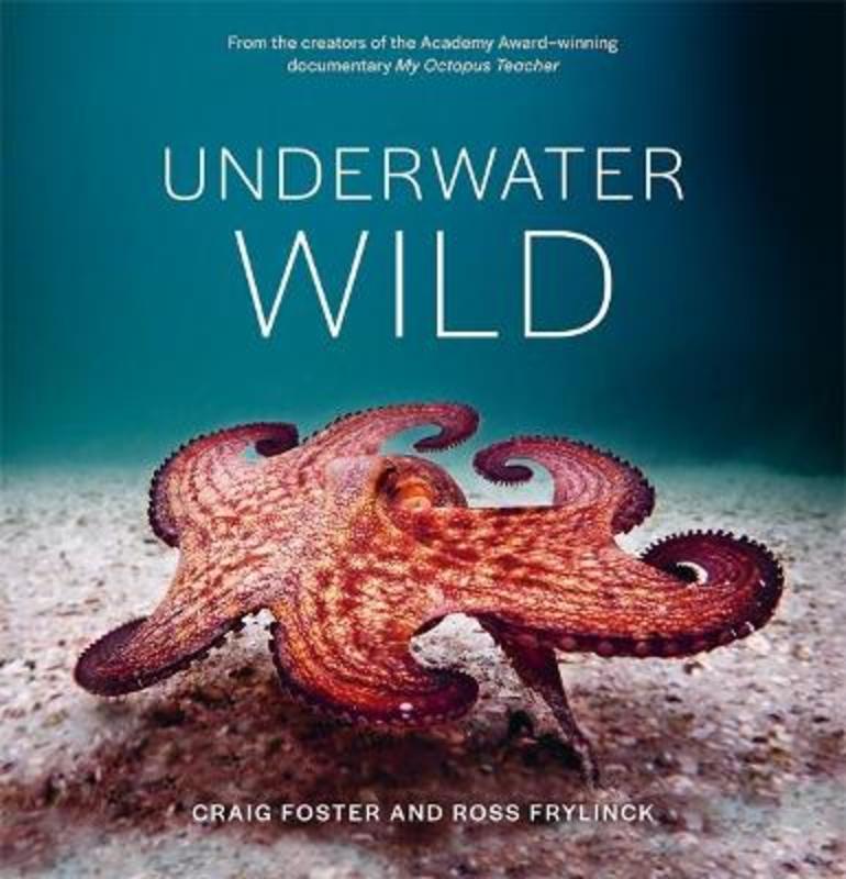 Underwater Wild by Craig Foster | Harry Hartog – Harry Hartog Bookseller