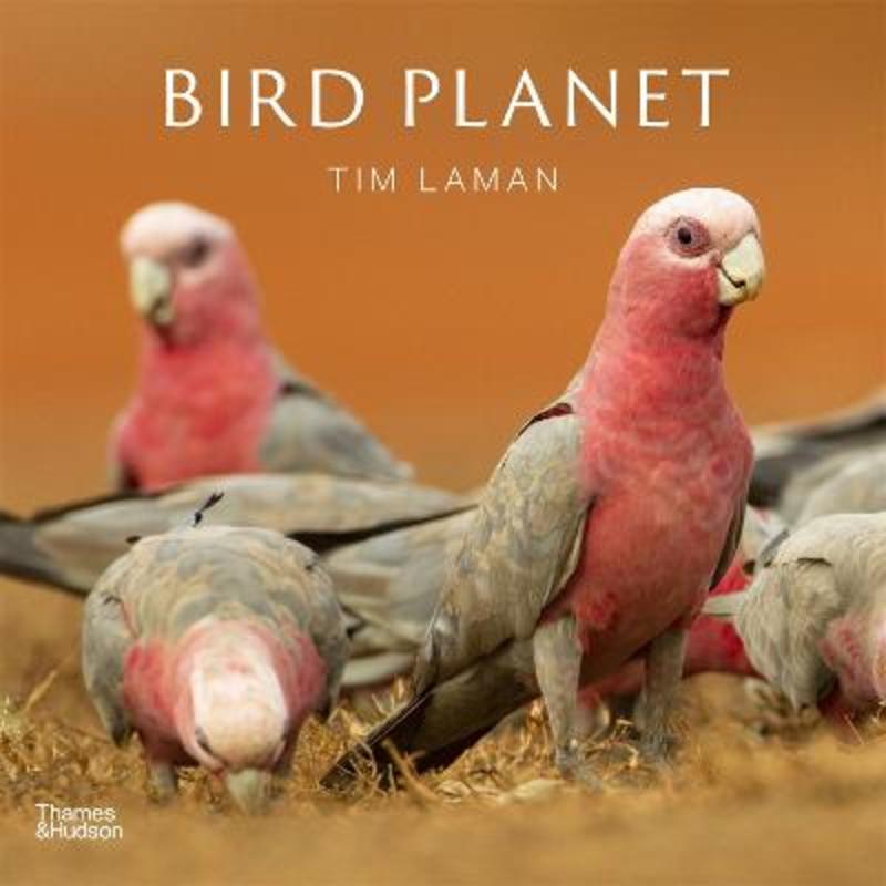Bird Planet by Tim Laman | 9781760762988 | Harry Hartog