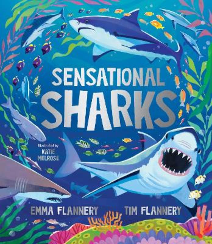 Sensational Sharks from Tim Flannery | Harry Hartog – Harry Hartog ...