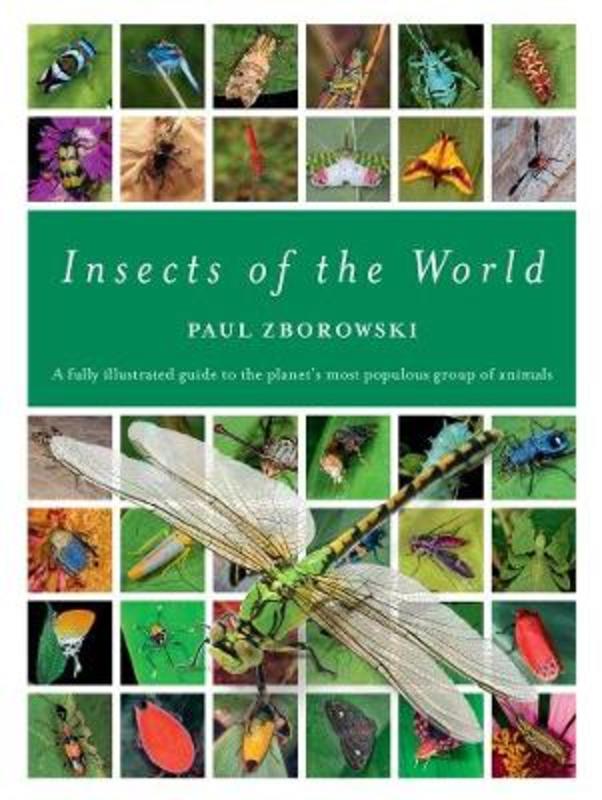 Insects of the World by Paul Zborowski | 9781925546095 | Harry Hartog ...