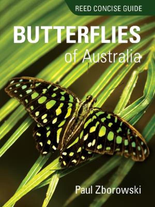 Reed Concise Guide to Butterflies of Australia by Paul Zborowski ...